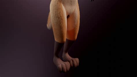 Agnes Anthro Fox 3d Model By Cm Studios