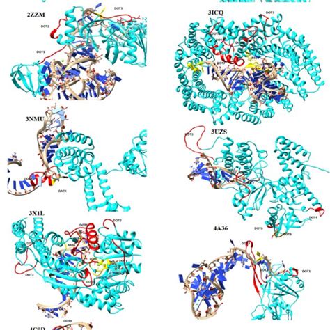 Average Surface Area Of Dot Regions In Protein Rna Complexes