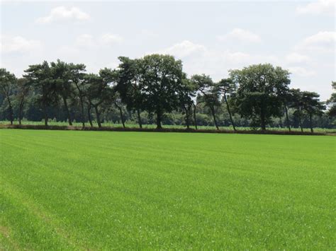 Free Images Landscape Tree Nature Forest Structure Plant Lawn