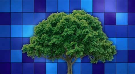 Merkle Tree Merkle Ağacı Nedir Coin Mühendisi