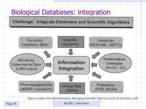 Biological Database Systems Ppt Databases Computer Software And Applications