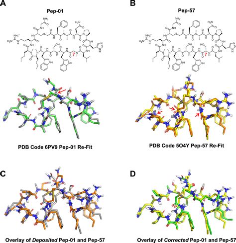 Comparative Overlays Of Different Ligand Fits To X Ray Density Download Scientific Diagram