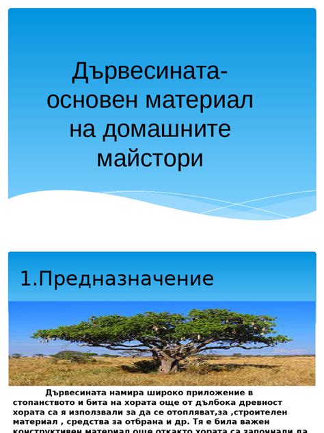 Строеж на дървесината Pdf