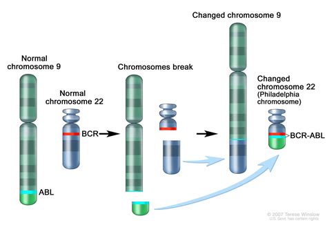 Comprehensive Genomic Profiling A New Tool For Personalized Medicine