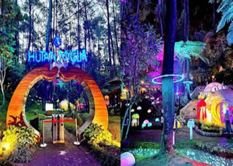 Hutan Mycelia Bandung Tiket Masuk Lokasi Penginapan Rute