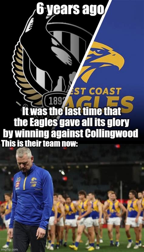 West Coast Eagle Memes Harley Reid Page 39 Melbourne Demons