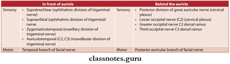 Scalp Temple And Face Question And Answers Class Notes