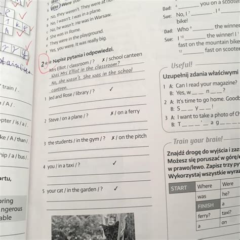 Napisz Pytania I Odpowiedzi Brainly Pl