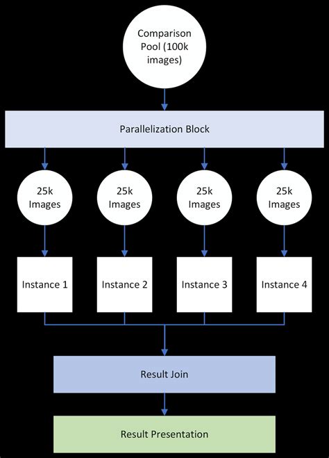 Multi Instance Parallelization Download Scientific Diagram