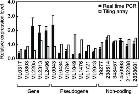 Comparison Of Rna Expression Between Real Time Pcr And Tiling Array