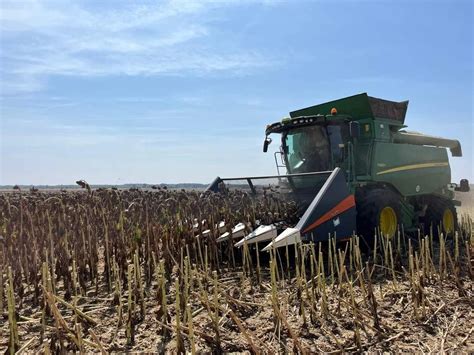 Uday Kumar Bhukya On Linkedin Jövőtnemesítünk Advantaseeds Altaseeds