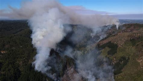 40 Incendios Forestales Se Mantienen En Combate En La Zona Centro Sur