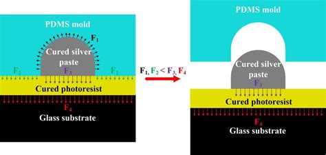 Figure S A Schematic Of The UV Assisted Micro Transfer Download Scientific Diagram