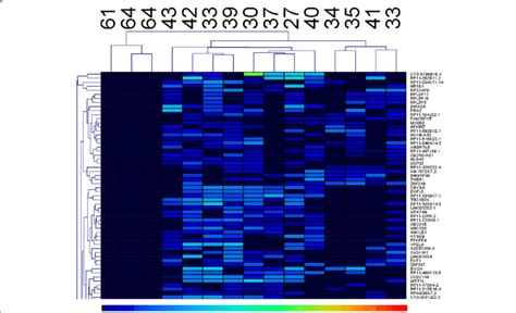 hierarchical clustering analysis of the degs a dendrogram of samples