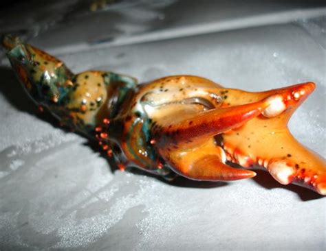 Mutant Lobsters Photos Abc News
