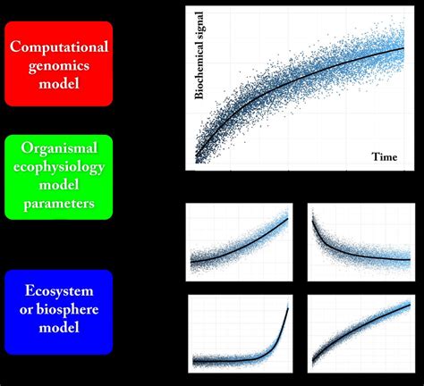 Simplified Process For Fusing Computation Genomics Models With