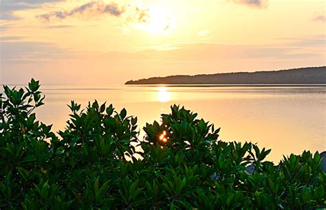 B1501012015年明けまして01 【公式】西表島カヌーツアー風車