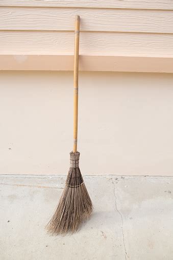 빗자루와 코코넛 야자수 잔디에 대 한 재활용 빈 벽에 클렌징 하루 가사 집안일에 대한 스톡 사진 및 기타 이미지 가사 집안일