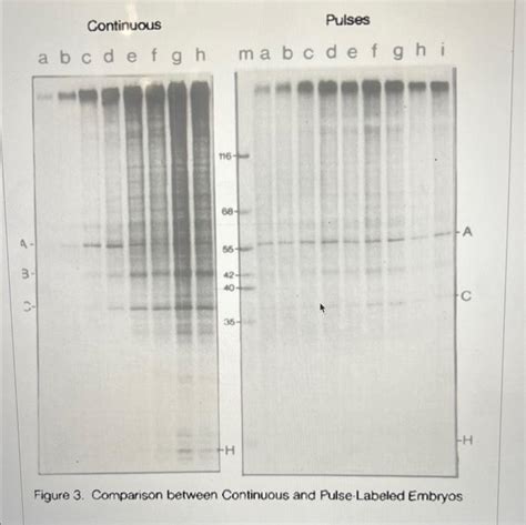 Solved Continuous Pulses A B C Def E H Ma Bad Ef F H I Chegg