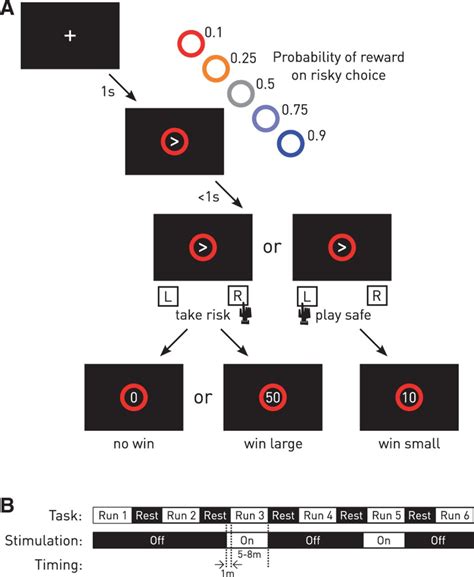 Experimental Design A Risky Decision Making Task On Each Trial The
