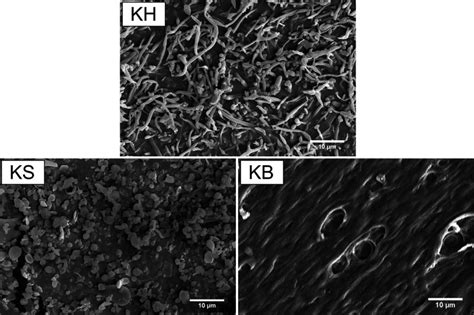 Water Processable Stretchable And Ion Conducting Coacervate Fibers From Keratin Associations