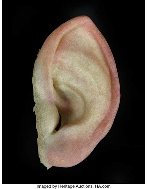 Dominic Monaghan Merry Prosthetic Hobbit Ears From The Lord Of The