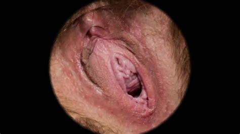 female textures sweet nest hd 1080p vagina close up hairy sex pussy by rumesco eporner