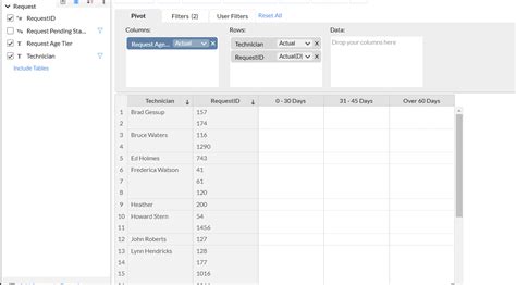 Expanding On The Ageing Report For In Progress Reports
