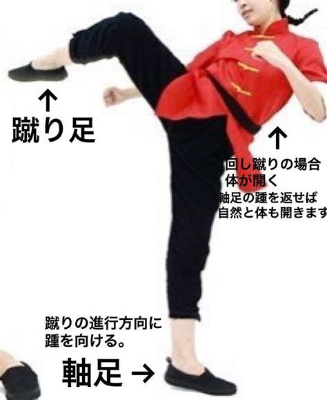 凡人n On Twitter【2022】 女性のポーズ集 蹴り技 上半身