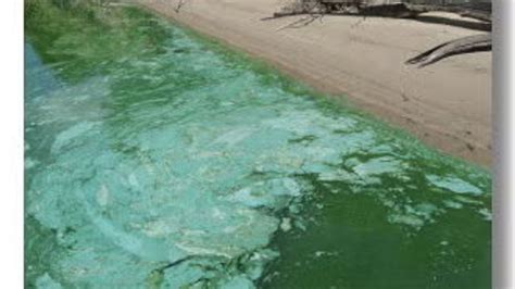 Nebraska Extends Health Alert For Toxic Algae At Cub Creek Lake