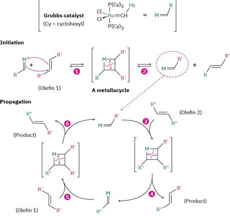 315 Olefin Metathesis Polymerization Chemistry Libretexts