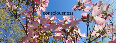 Consciousness
