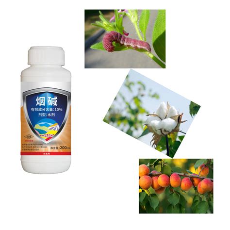 10 Nicotine Brown Planthopper Pesticides Aphid Control Insecticide