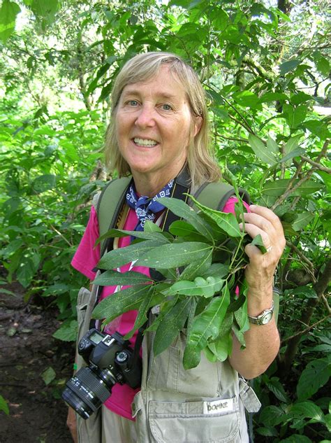Margaret D Meg Lowman Publications California Academy Of Sciences