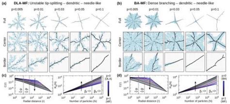 Fractal To Non Fractal Morphological Transitions In Stochastic Growth Processes Intechopen