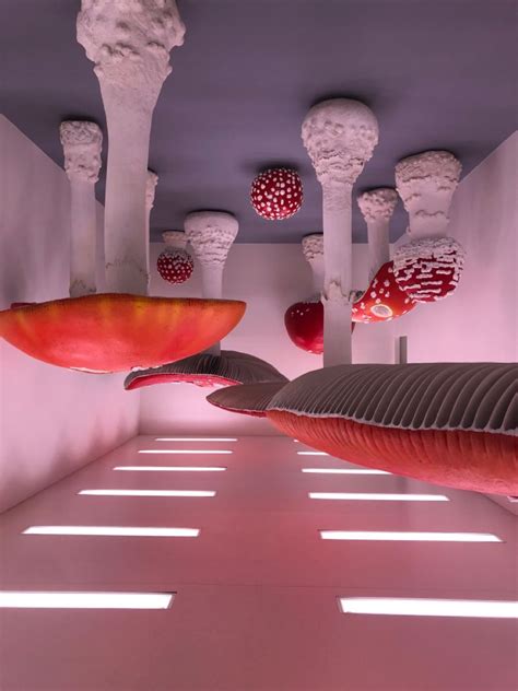 Pin Di Moncherie By Liliana Sacaza Sw Su Fondazione Prada Funghi