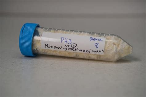 Polyhydroxybutyrate Phb Bioplastic Madein Platform