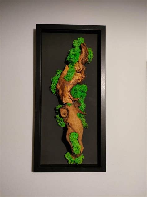 Moss Art Circle Framed Moss Living Moss Wall Art Circle Moss Decoration