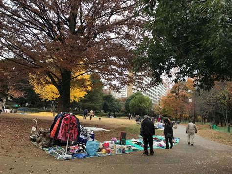 フリーマーケット＠練馬区光が丘「秋の陽公園」参加レポ ～古物のその後～ Curere