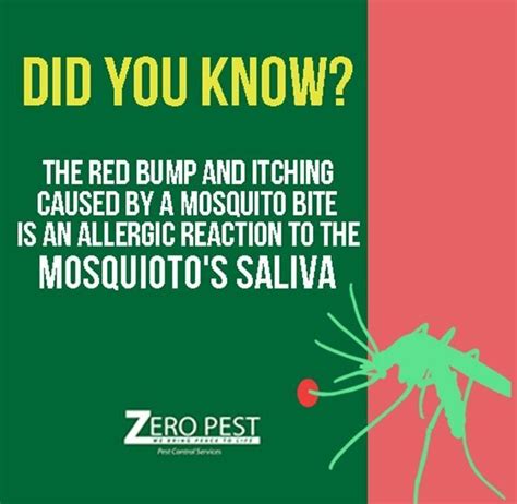 So Remember Not To Let Your Guard Down And Call Zero Pest Today