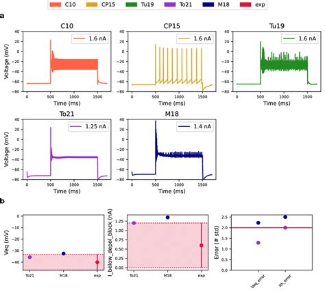 The Depolarization Block Test Expressed The Ability Of Models To Enter