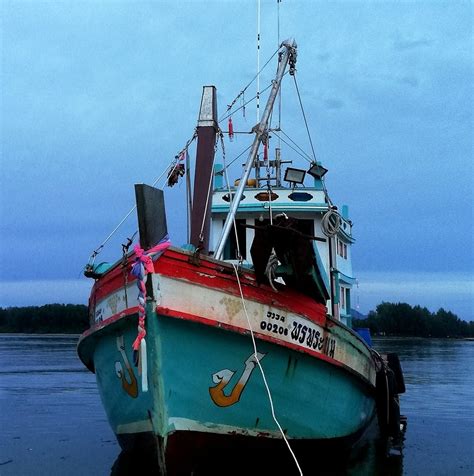 ปลาทะเลสดๆ อิเคะจิเมะ ปลารีดเลือด Byไต๋ไผ่ Phangnga