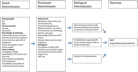 Conceptual Framework For Understanding The Determinants Of Hiv Download Scientific Diagram