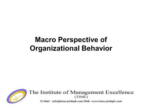 Macro Perspective Organisation Behaviour Ppt