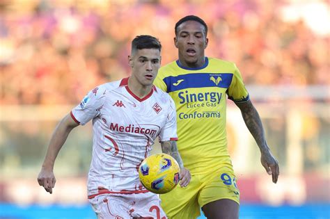 Pronostico Verona Fiorentina Quote Analisi Statistiche 35ª Giornata