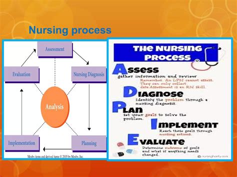 Nursing Process Ppt