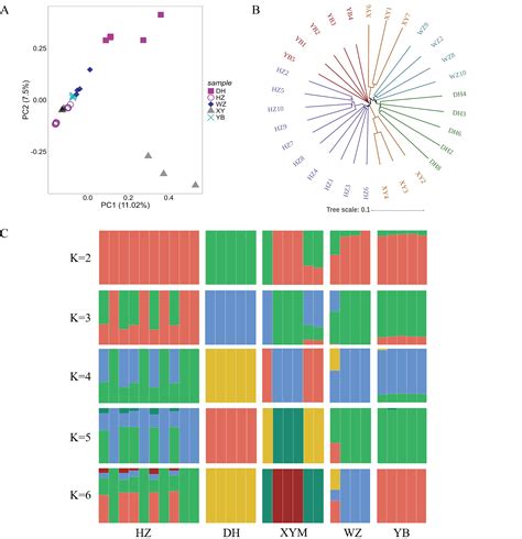 Xy Genotype Data Buffalo Genomics