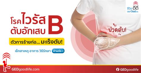 มีไข้ อ่อนเพลีย ตาเหลือง ระวัง ไวรัสตับอักเสบบี ตัวการร้ายก่อมะเร็งตับ