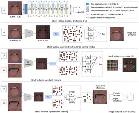 Frontiers Weakly Supervised Multiple Instance Active Learning For