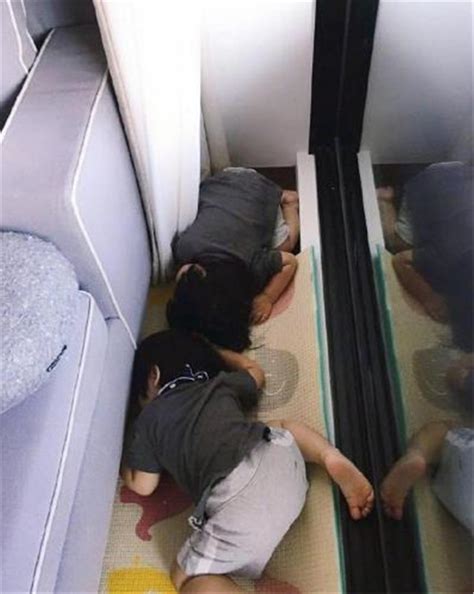 林志颖双胞胎儿子太调皮，家里凌乱不堪，这才是最真实的样子！百科ta说
